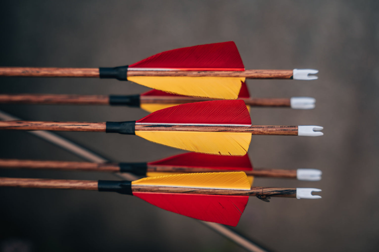 Arrow AMO Standard – Bearpaw Products